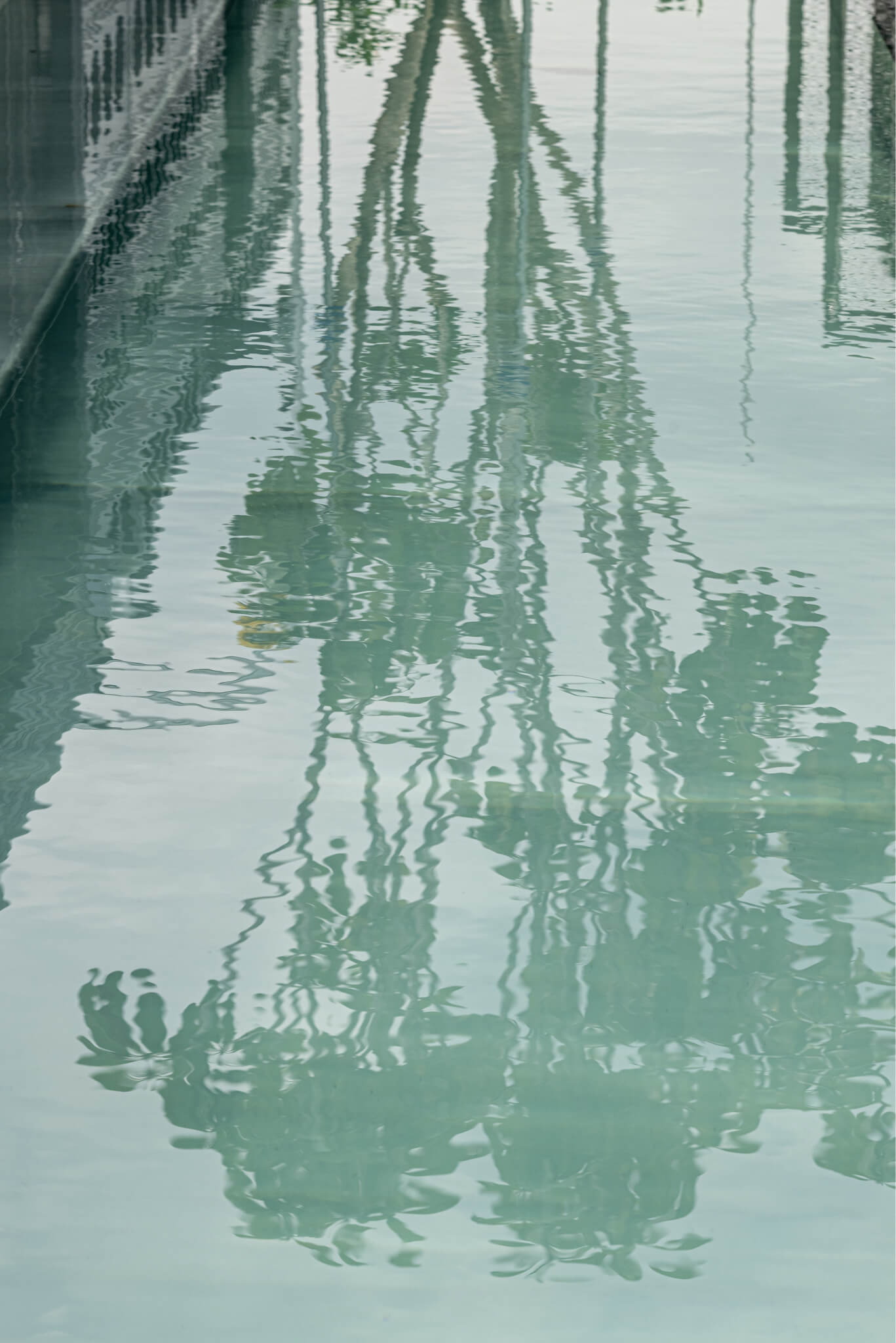 21 Carpenter - DNA Hotels