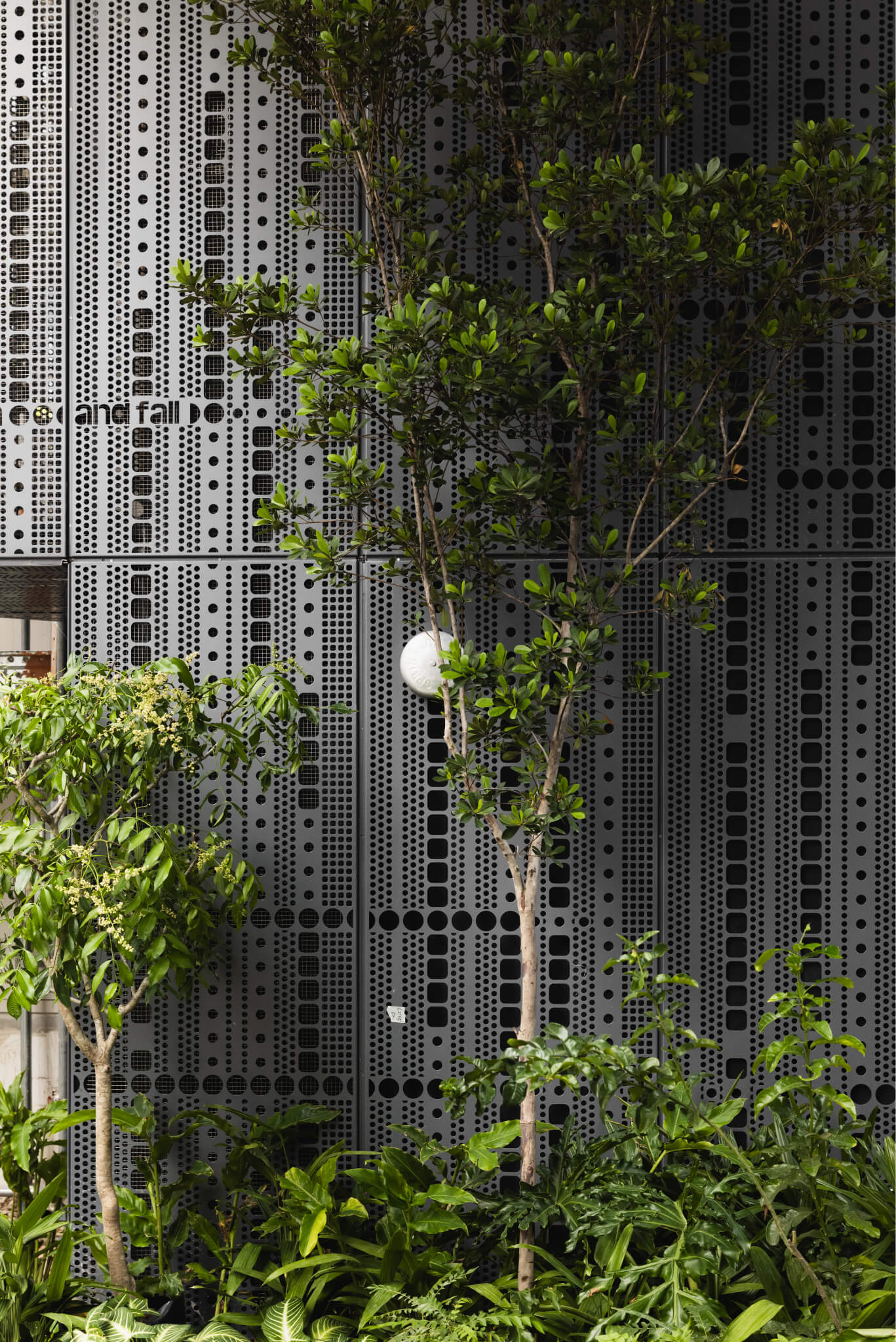 21 Carpenter - DNA Hotels